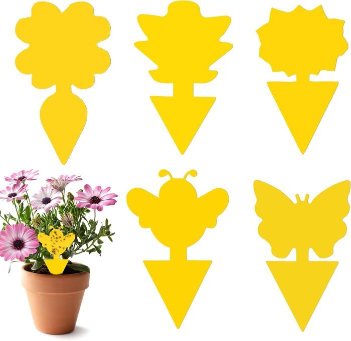 Pack De 50 Anti Moucherons Interieur, Pièges À Insectes, Attrape ...