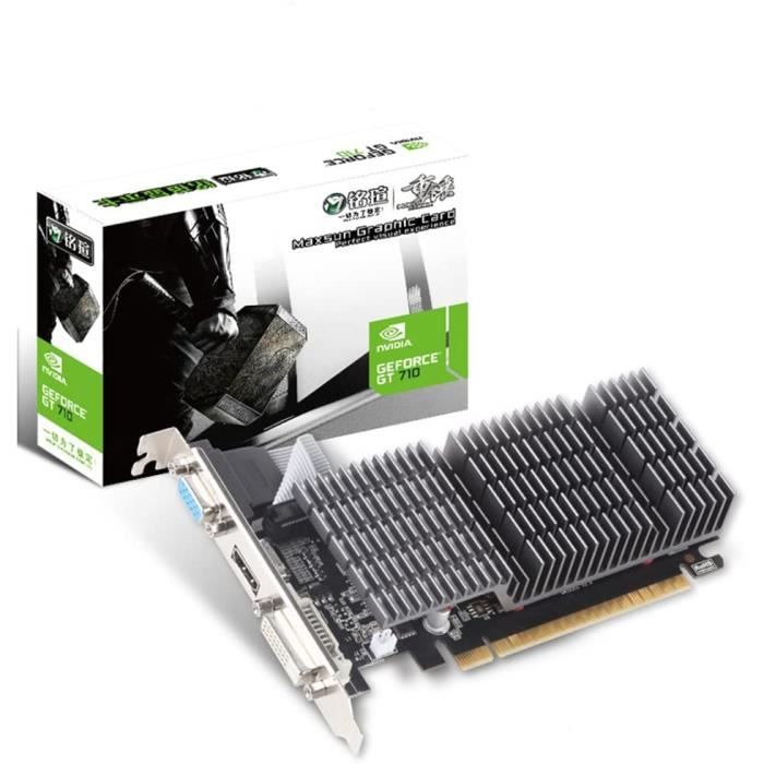 MAXSUN Carte Graphique Externe GeForce GT710 1 Go (64 bit VGA, DVI-D ...