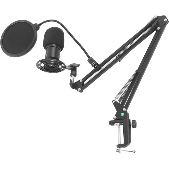 Microphone À Condensateur, Réduction De Bruit Professionnelle, Ensemble ...