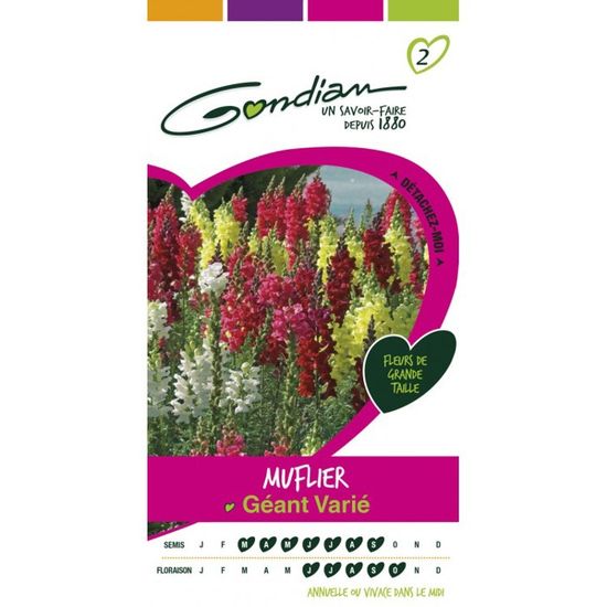 Gondian - Muflier Géant Varié - Cdiscount Jardin
