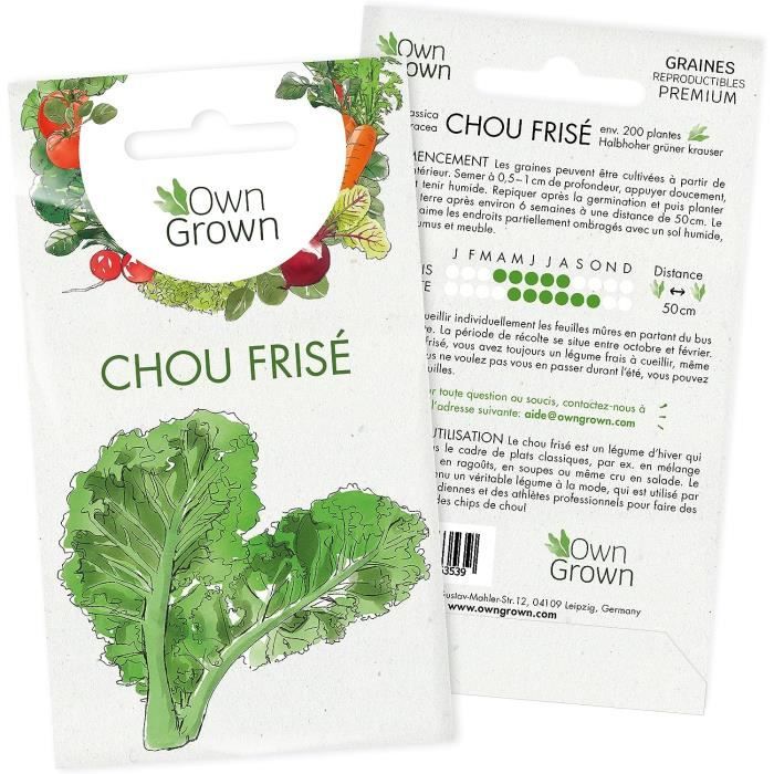 Graines De Chou Frisé (Brassica Oleracea) Graines De Chou Kale Frisé À Semer Kale Seeds, Graine ...