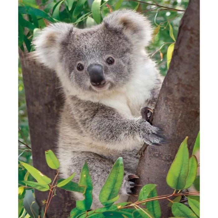 Diy 5D Broderie Diamant Kit Complet Koala Mignon Sur L'Arbre Diamant Painting Kit De Broderie ...