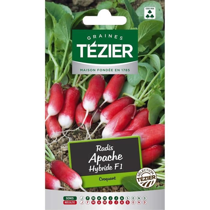 Sachet Graines - Tezier - Radis Apache HF1 sélection Tézier - Sachet ...