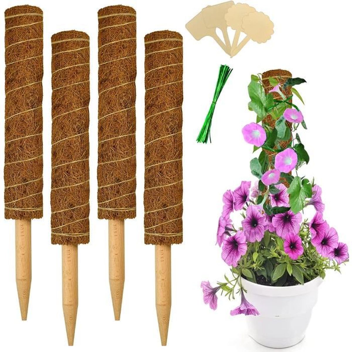 Tuteur pour plante grimpante - AMOUNE - Coco 40cm - Fibre de Coco PVC ...