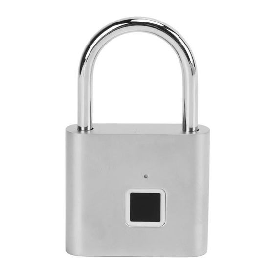 Cadenas à empreintes digitales - VBESTLIFE - Argent - Sécurisé - USB ...