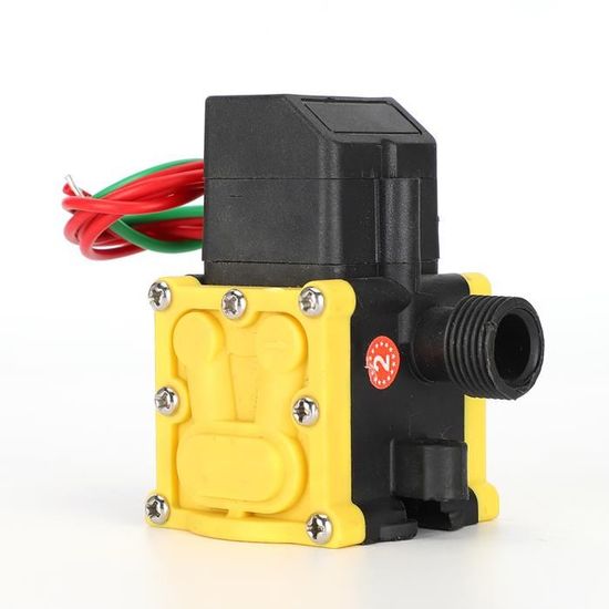 RUR Accessoires de pompe à eau électrique pulvérisateur d'agriculture pompe pression membrane ...