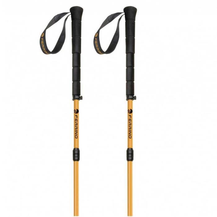 Bâton de randonnée - FERRINO - Stick Zion 3 Sections CM.110 - Adulte ...
