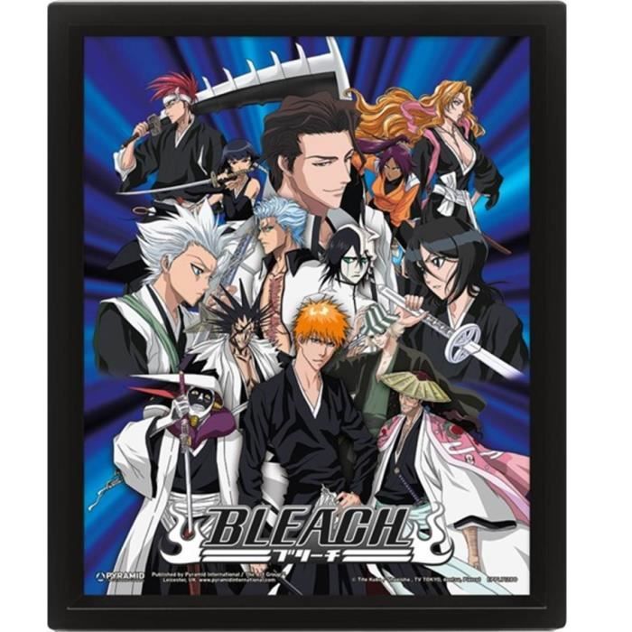 Bleach cadre 3D Heroes And Villains. - Cdiscount Jeux - Jouets