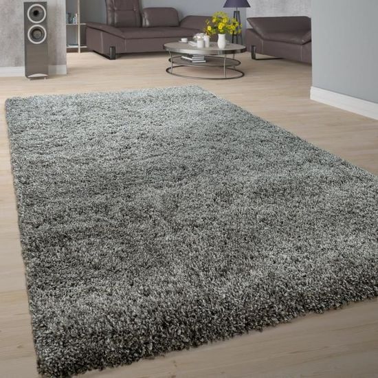 Tapis Salon Doux Shaggy Poils Longs Moderne Moelleux Uni Gris [120x170 cm] - Cdiscount Auto