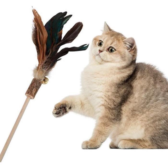 Fun Bell Jouet En Fausse Plume Pour Chaton Silvervine Pet Teaser Jouet ...