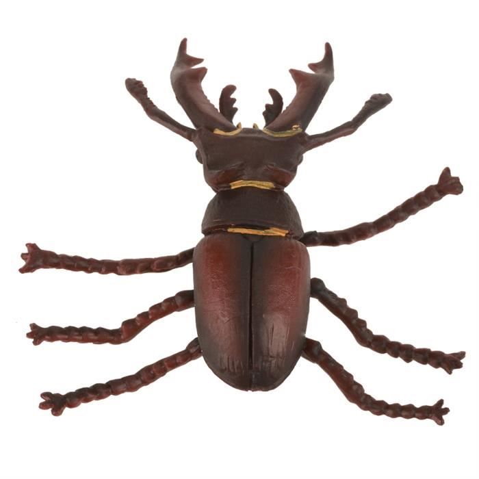 Nouveau jouet 3D insecte animaux modèle Kit 8x jouet éducatif en ...