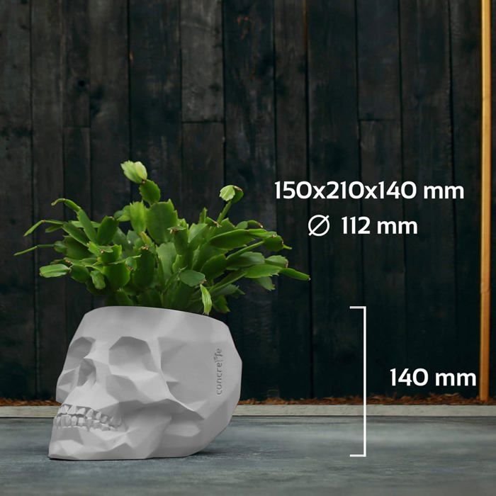 Pot De Fleurs En Ciment Cache-Pot En Bton Tte De Mort Low Poly 5 Cm 76 ...