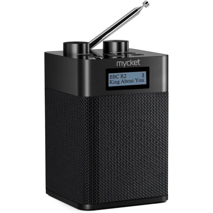 Radio numérique Radi et FM Dab-Dab+, Radio numérique Portable avec USB ...