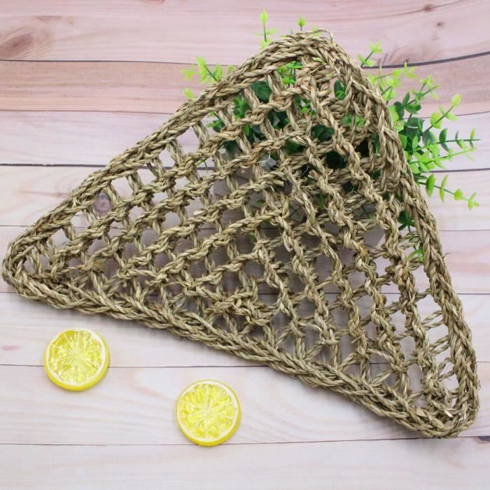 VINGVO Triangle Reptile Hamac Lézard Hamac Animal Rampant Tapis ...