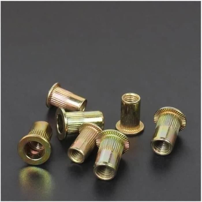 Écrou À Rivet Rivets Filetés Insert Nutsert Cap Acier Au Carbone Zingué ...