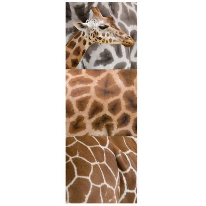 PLAGE Sticker déco - Limpopo 1 Planche 24x68cm - Cdiscount Maison