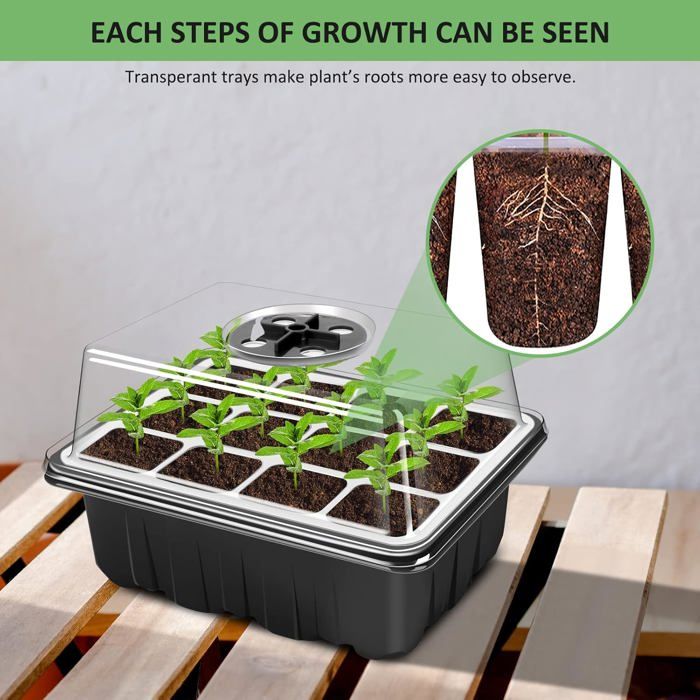 Mini Serre Pour Plantes, 6 Pièces 72 Cellules Intérieure Plateau Semis ...