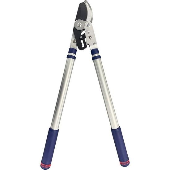 Razorshap Ébrancheur télescopique 45,72-76,2 cm[486] - Cdiscount Jardin