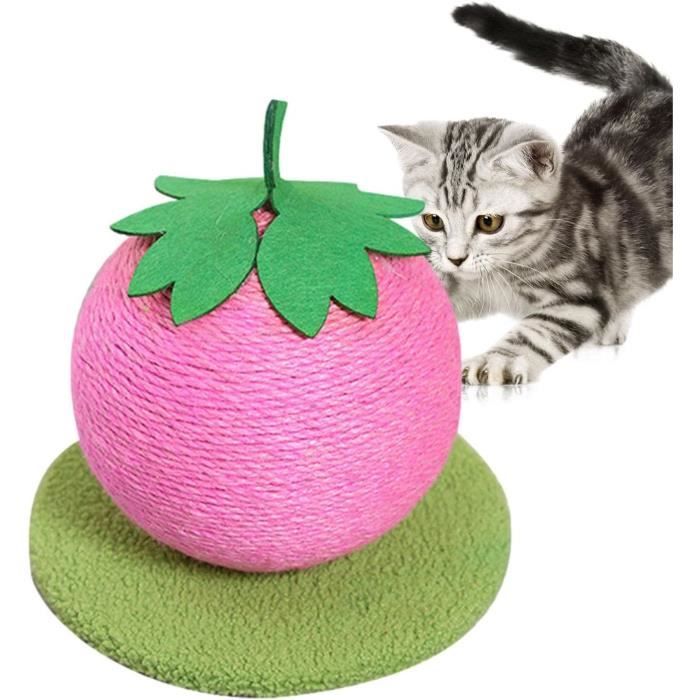 Griffoir Pour Chat Intérieur | Griffoir Pour Chat En Fruit Arbre À Chat ...