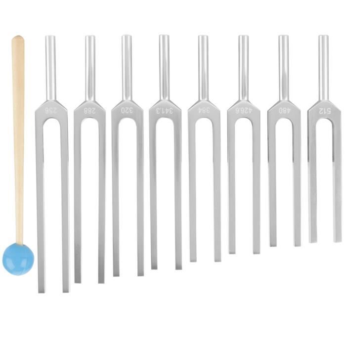 Instruments de diapason médical en aluminium Ensemble d'outils de ...