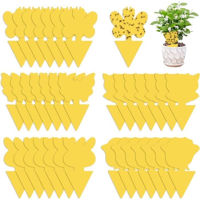 Pièges à Insectes 50Pcs Attrape Mouche Collant Piege Mouche Double Face ...