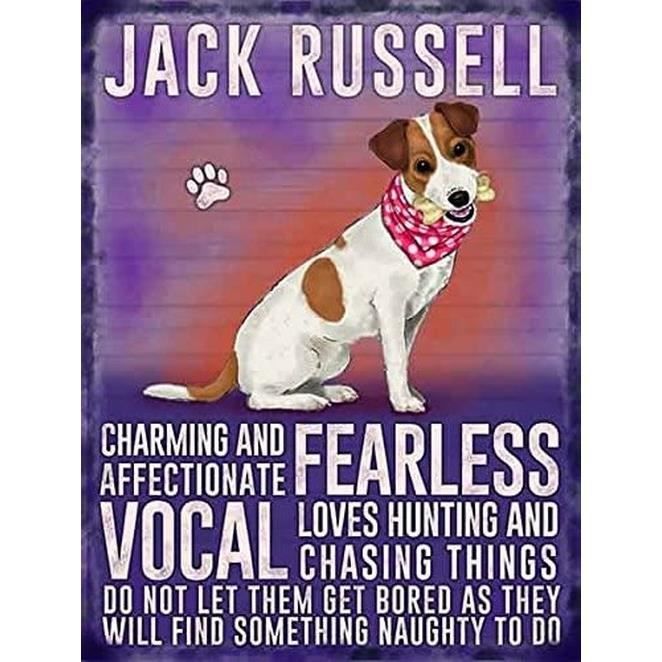 Original Métal Plaques Jack Russell Large Métal Signe , 40cm x 30cm ...