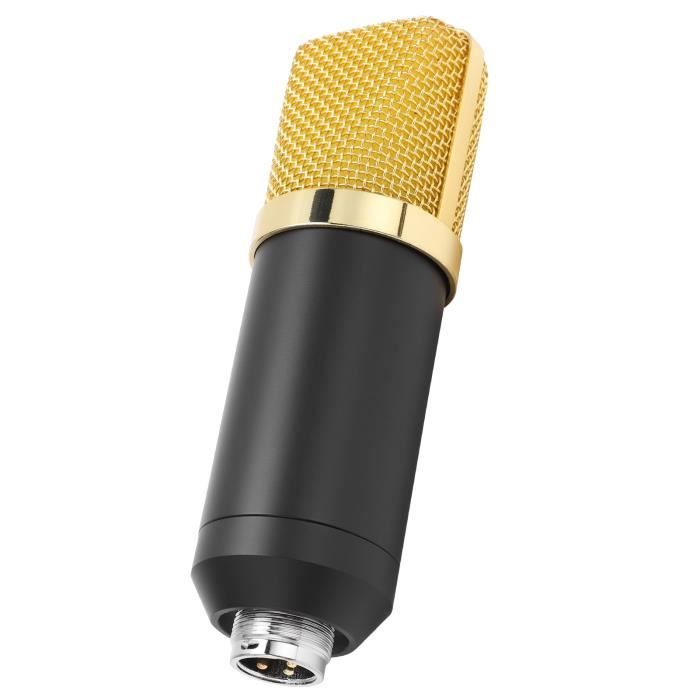 MSA Microphone Micro Professionnel Mini Dispositif De Diffusion En ...