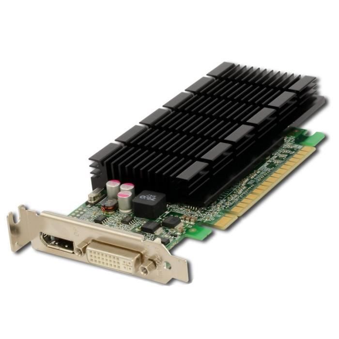 NVIDIA GeForce 605 DP S26361-D2422-V605 1Go PCIe DVI DisplayPort Low ...