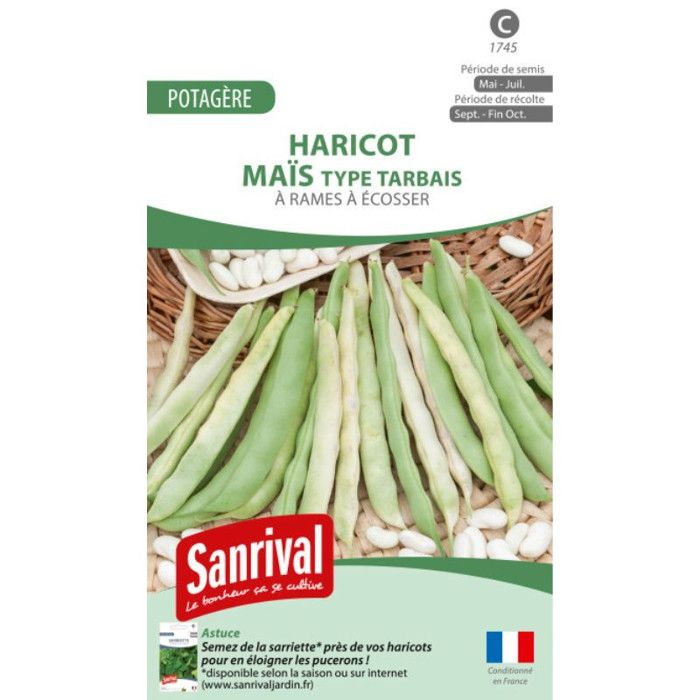 Haricot à rames Maïs (Tarbais à Ecosser) - Cdiscount Jardin