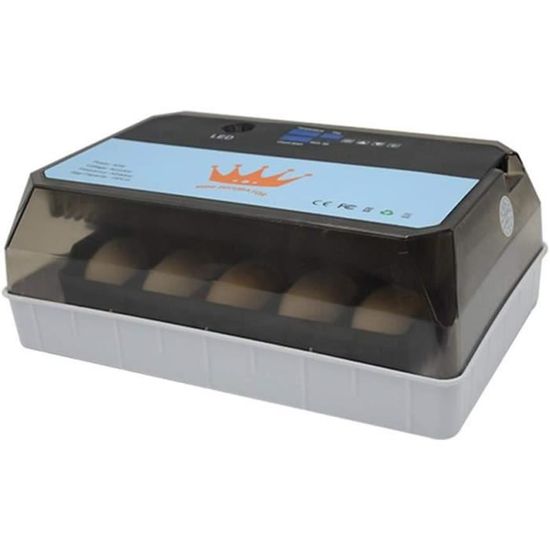 AI Powered 4K Camera Bird Feeder With Solar Power Beako AI Smart Bird ...