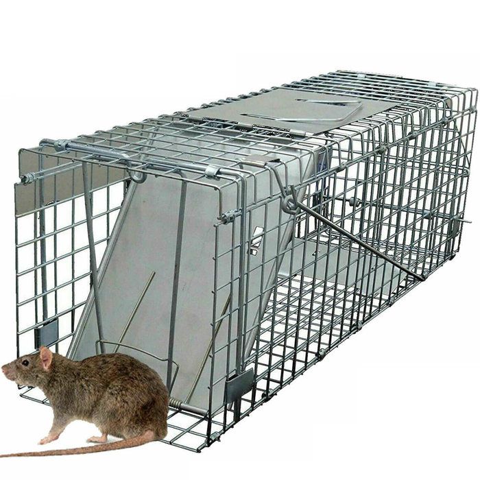 Piège de Capture, Cage Réutilisable Piège à Rats pour Attraper Les ...