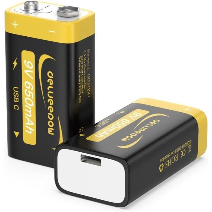 Piles 9v Rechargeable Li-ION 650mAh,Pile 9V Lithium Rechargeable USB-C ...