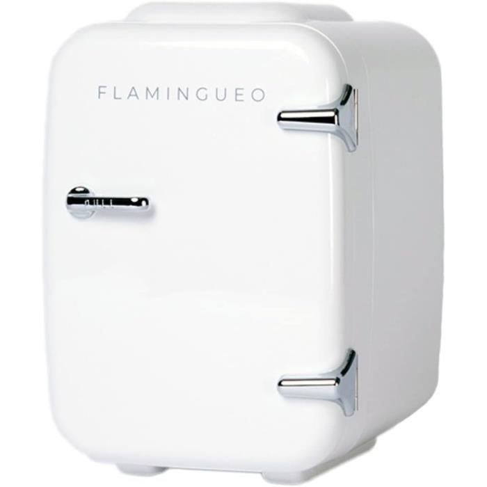 Mini Frigo - Réfrigérateur 4L, Mini Frigo De Chambre, Petit Frigo 12V ...
