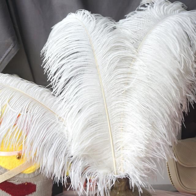 PLUME DE DECORATION ,45-50cm Small pole--Grandes Plumes'Autruche ...