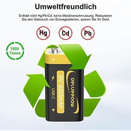 Piles 9v Rechargeable Li-ION 650mAh,Pile 9V Lithium Rechargeable USB-C ...