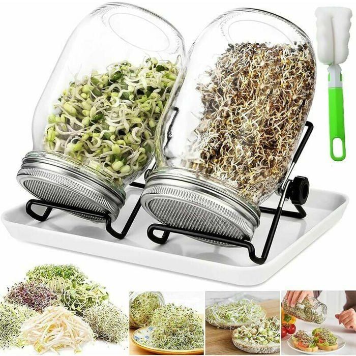 Germoir en Verre 950 ML avec 2 Grilles et 1 Bol pour Brocoli Luzerne et ...
