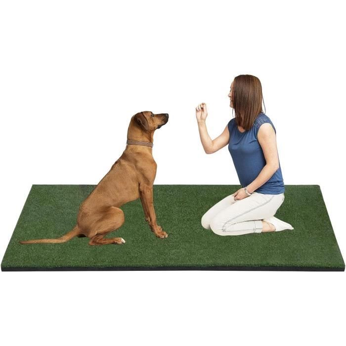 Gazon Artificiel - Faux Tapis De Gazon Synthétique,Gazon Artificiel Pour Chiens De Compagnie ...