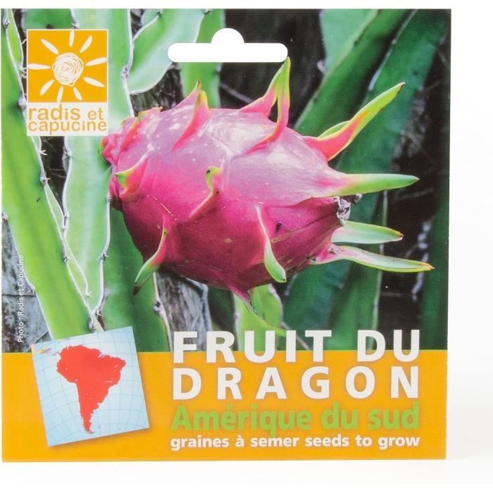 Sachets Graines Exotiques Fruit Du Dragon Pitaya À Semer En Pot À La ...