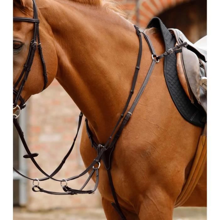 Collier de chasse pour cheval Premier Equine Norbello - dark brown ...