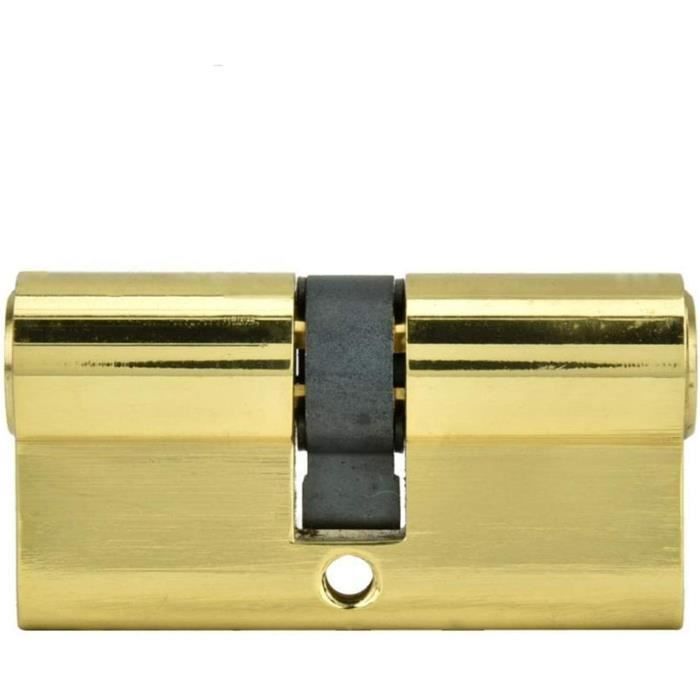 Cylindre De Serrure Cylindre de porte Serrure à biais de sécurité 60mm ...