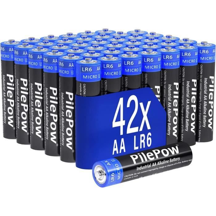 Piles AA alcalines, Lot de 42 industrielles 1.5V LR6, Stockage de 10 ...