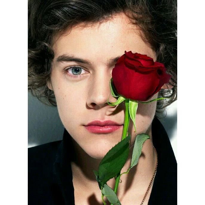 BNDS-101 Sftdf Harry Styles, Kit Numérique De Peinture Au Diamant ...