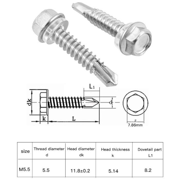 20pcs vis autoforeuse,en acier inoxydable 401,M5.5*19mm Vis Auto ...