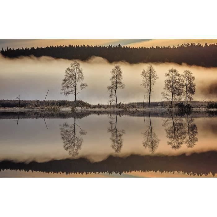 Puzzle en Bois Enfant La Réflexion des Arbres Brumeux De La Forêt d ...