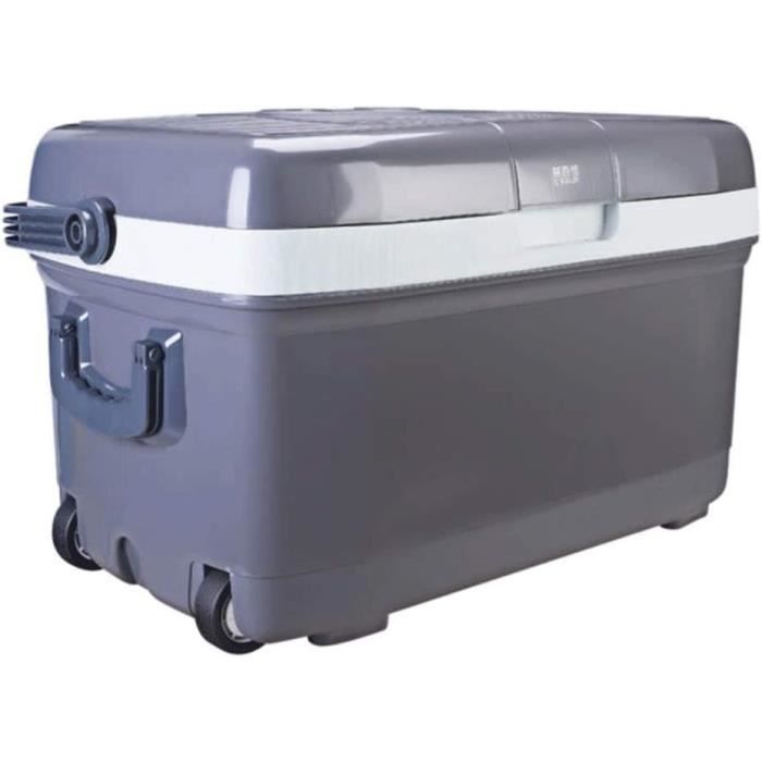 FBITE Glacière de Voiture, 45L Cool Box Réfrigérateur Cool and Warm ... FBITE Glacière de Voiture, 45L Cool Box Réfrigérateur Cool and Warm ...