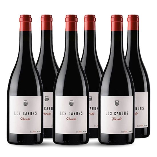 Les Canons Le Paradis Anjou Rouge 2020 6x75cl - La cave Cdiscount