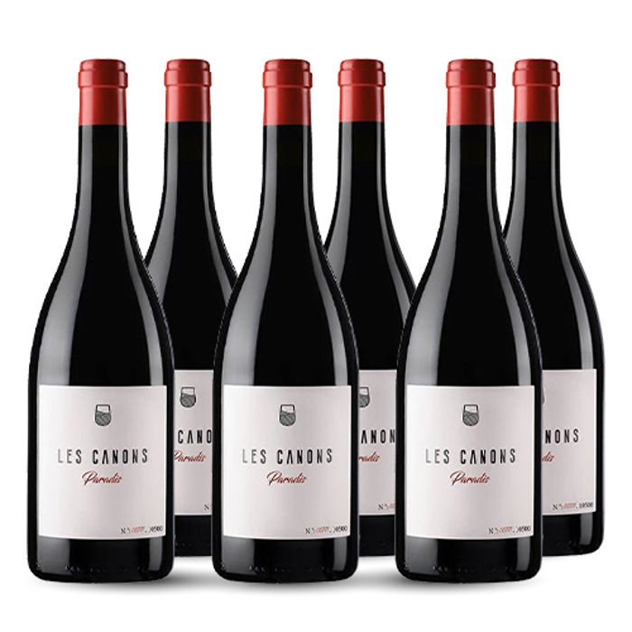 Les Canons Le Paradis Anjou Rouge 2020 6x75cl - La cave Cdiscount