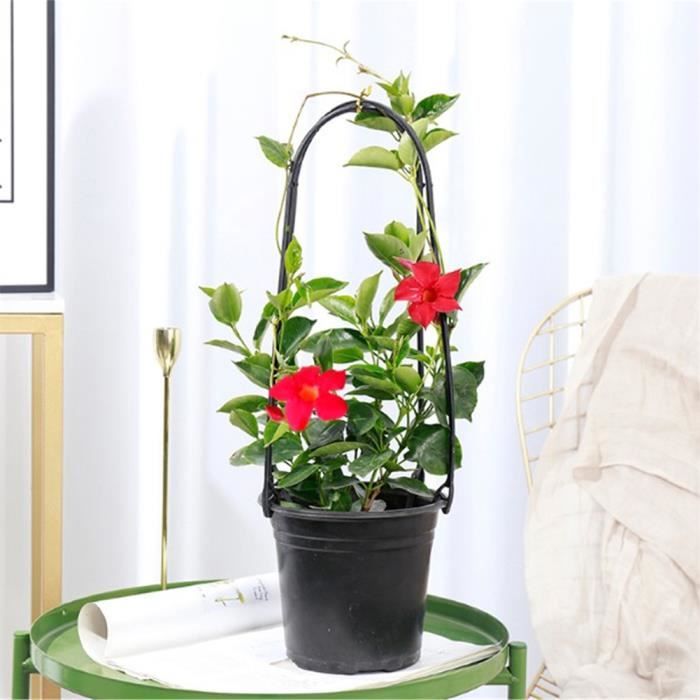 Support de vigne grimpante - Non spécifié - Cadre en plastique - 14cm x ...