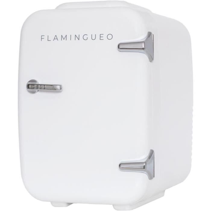 Flamingueo Mini Frigo - Mini Réfrigérateurs 4L, Petit Frigo 12V-220V ...