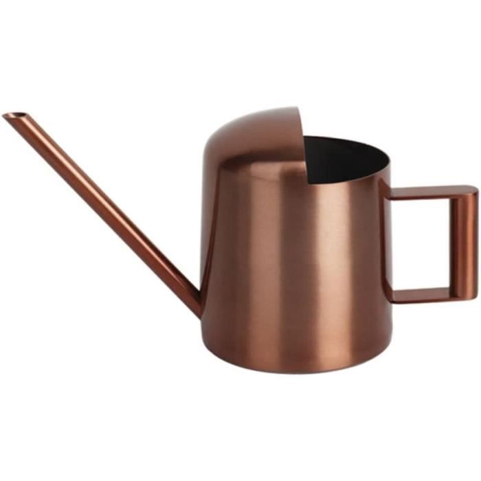 Arrosoir Plante Interieur Mini Arrosoir Acier Inoxydable Style Moderne ...